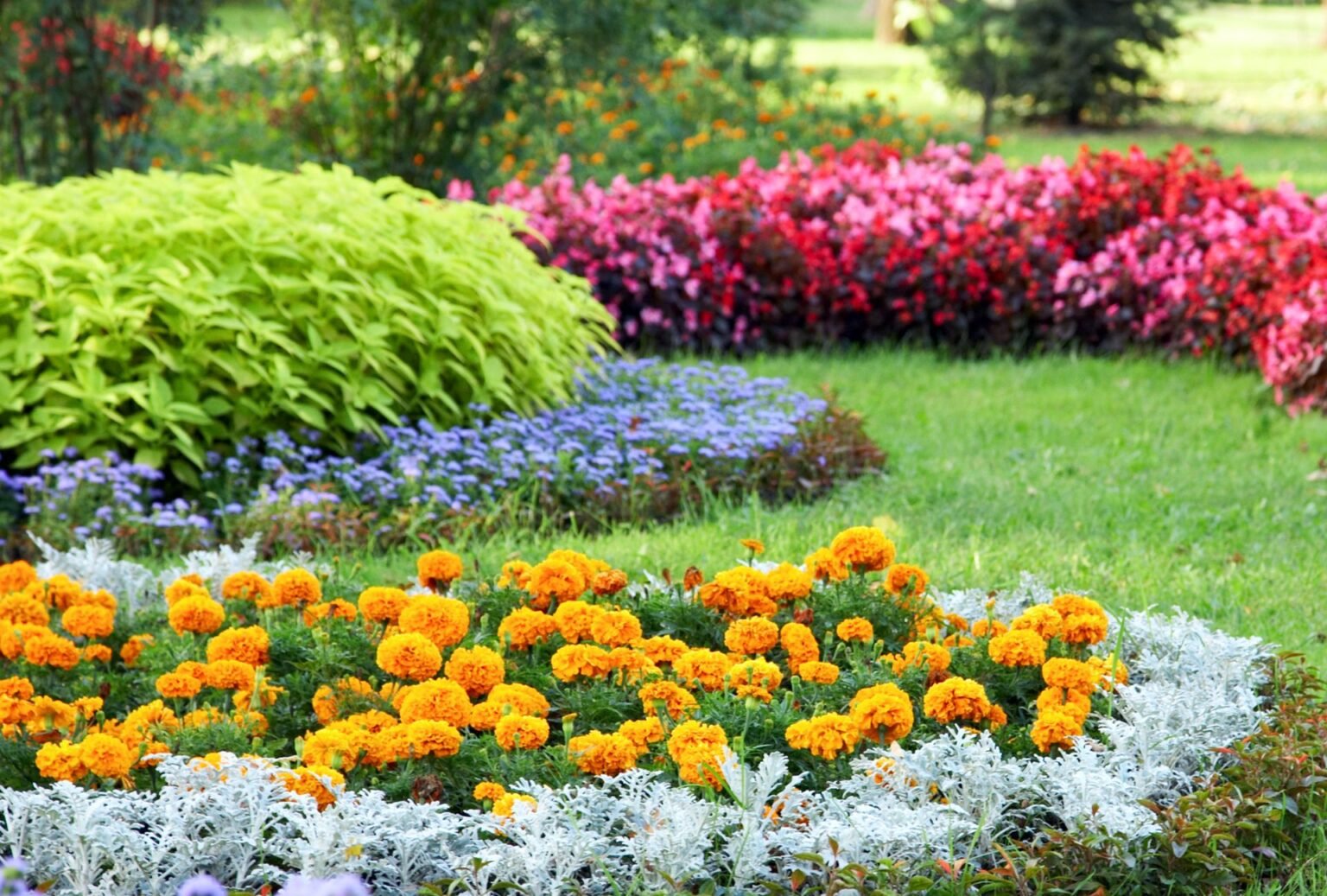 The Ultimate Guide To Boundary Landscaping In New Zealand