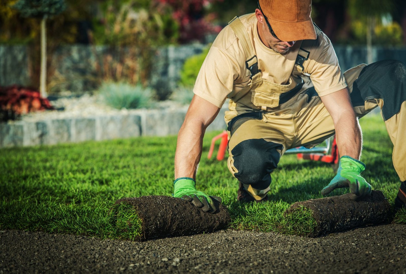 The Ultimate Guide To Boundary Landscaping In New Zealand