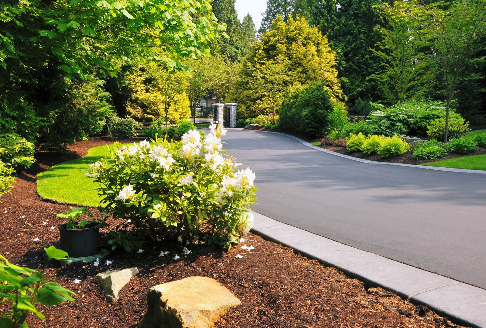 The Ultimate Guide To Boundary Landscaping In New Zealand